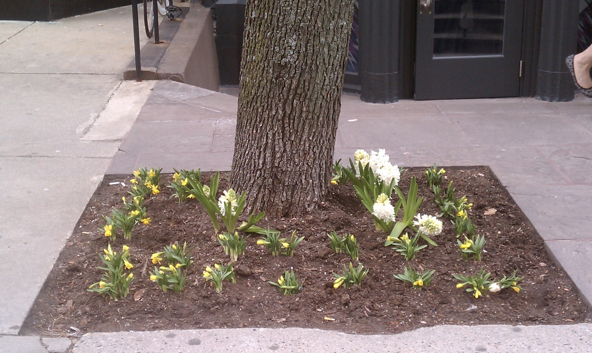 March | 2011 | City Garden Ideas