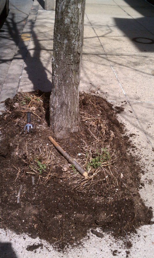 April | 2011 | City Garden Ideas