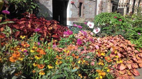 Blog | City Garden Ideas | Information and inspiration to help beautify ...